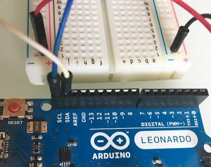 Leonardo IIC Attiny84 - Mauro Alfieri Wearable Domotica Robotica