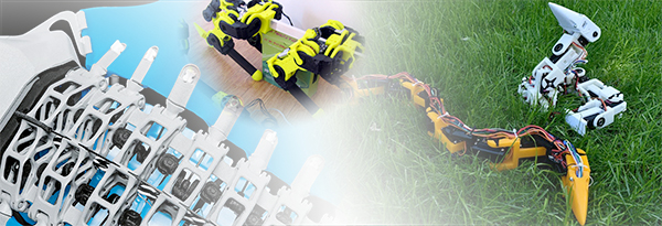 DIY robot - Mauro Alfieri Wearable Domotica Robotica