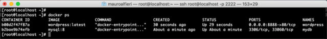 Wordpress MySql Docker containers - Mauro Alfieri Informatica Docker