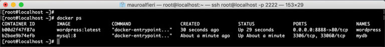 Wordpress Mysql Docker Containers Mauro Alfieri Informatica Docker