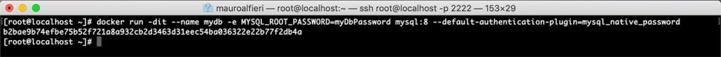 Wordpress Mysql Docker Containers Mauro Alfieri Informatica Docker