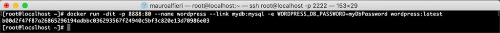 Wordpress Mysql Docker Containers Mauro Alfieri Informatica Docker